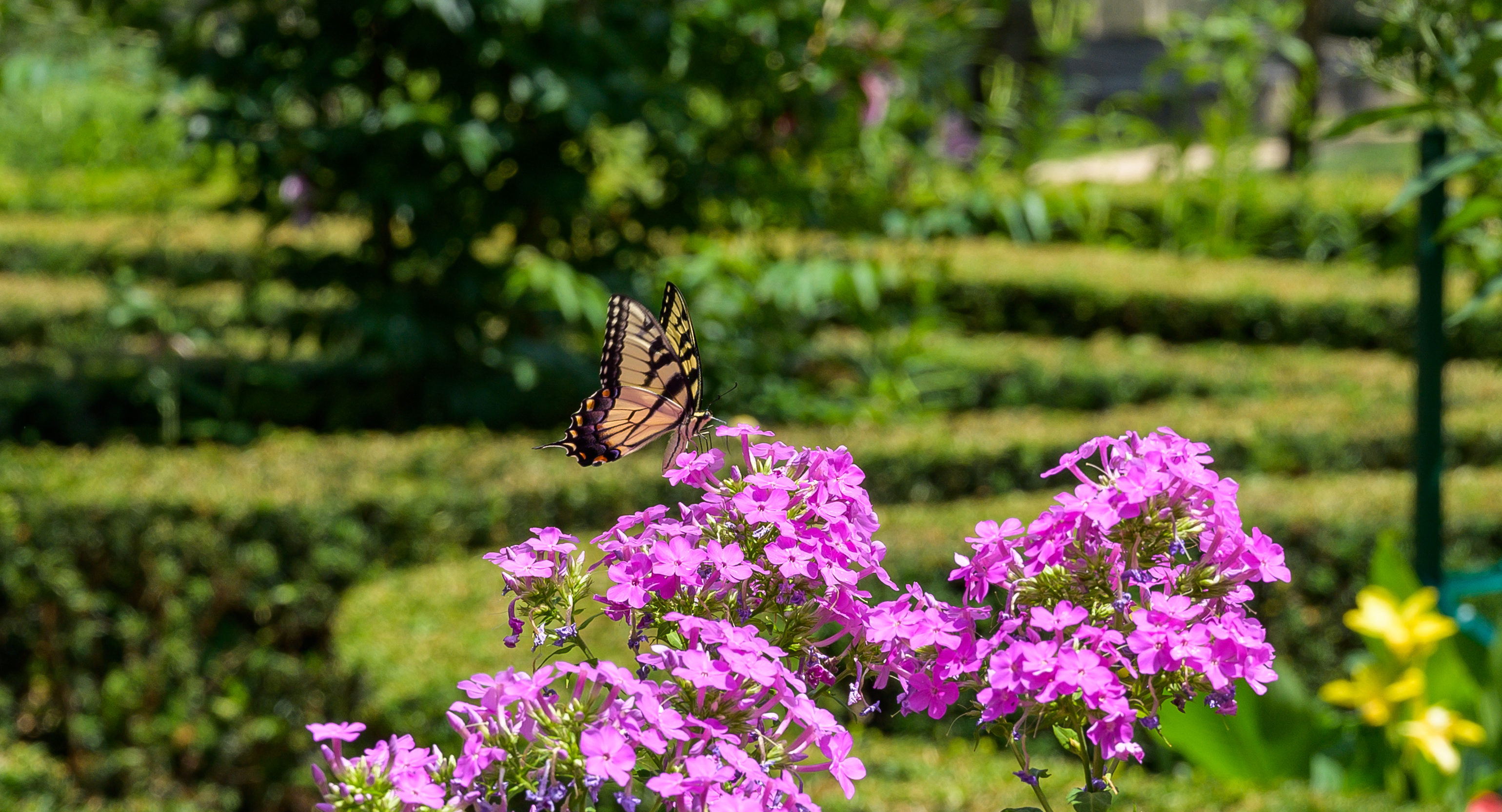 Arboretum and Gardens - Liberty Hall Museum